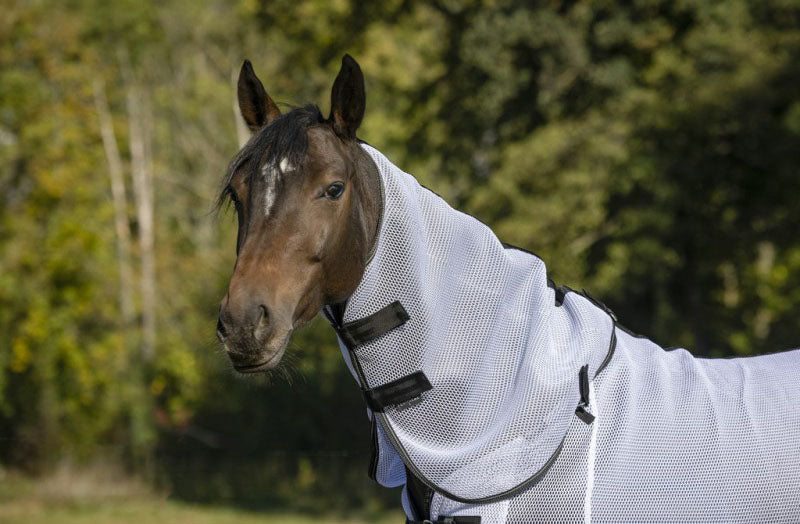 Equithème 3D Mesh Neck Cover - Blankets/Neck Covers - Terre d'Equidés